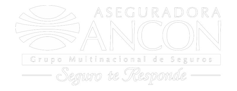 Academia Grupo Multinacional de Seguros